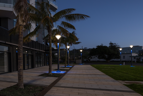 Alexandra Park | Case Study | Team Cabling